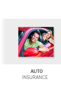 Best Insurance Bundle Rates 🟨 Aug 2025